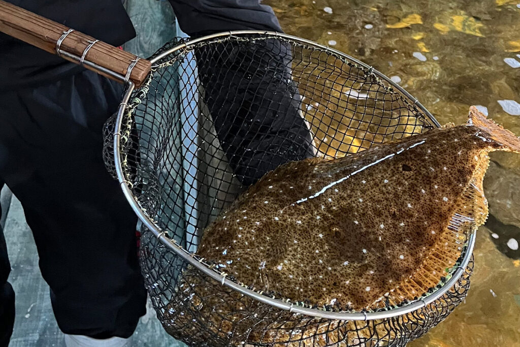 株式会社GLOBAL Glizea | 温泉藻類由来成分 RG92エキス正規代理店